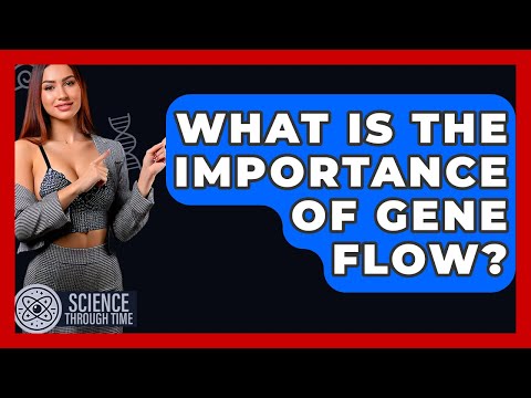 What Is The Importance Of Gene Flow? - Science Through Time