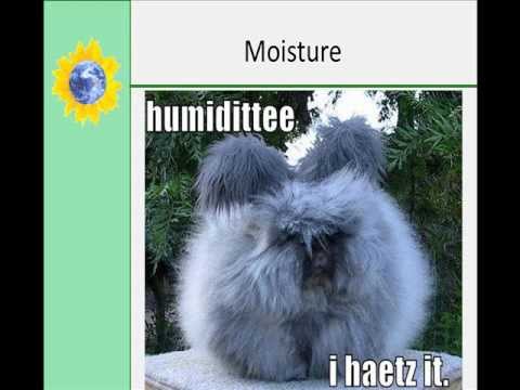 Weather Factors