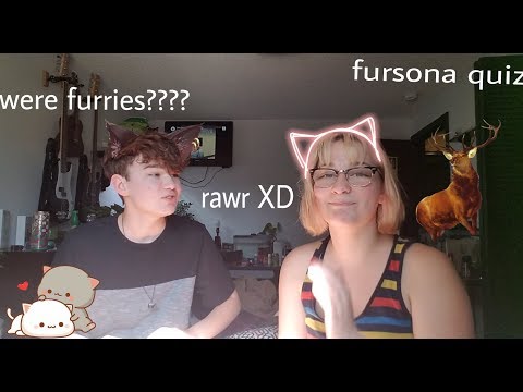 Furry Quiz???