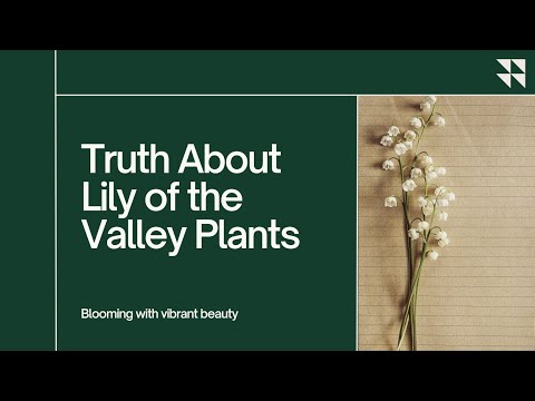 The SHOCKING Truth About Lily of the Valley Plants You Won't Believe