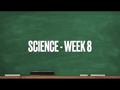 CC Cycle 1 Week 8 Science