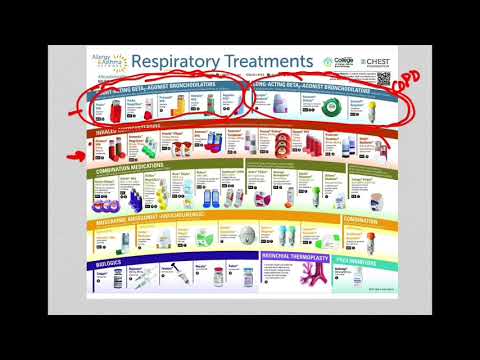 Asthma and COPD Medication Overview