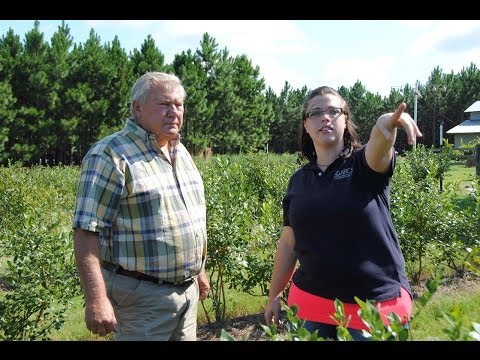 A Perfect Fit | The Pathways Internship Program is Great for Students