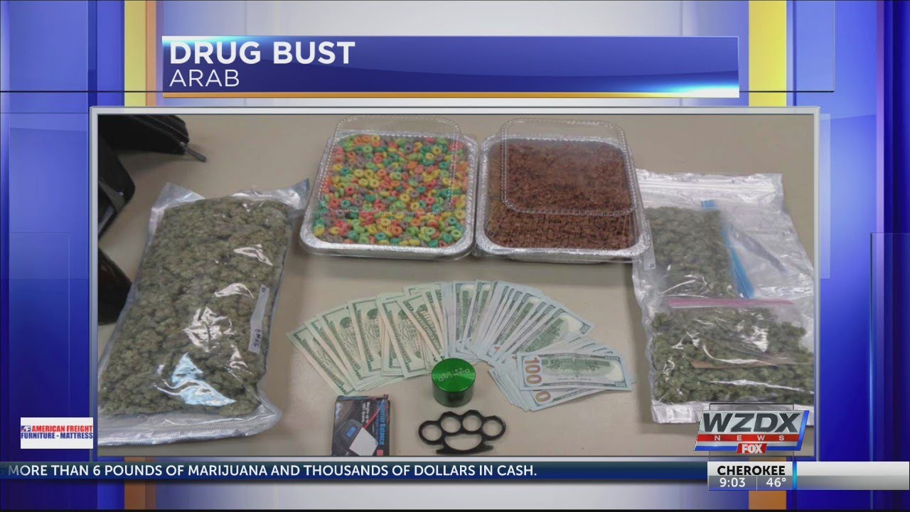 Over 6 pounds of marijuana found during traffic stop