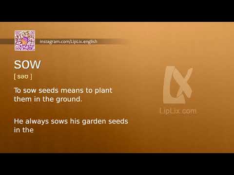 Sow : C1 level english vocabulary lesson, www.LipLix.com