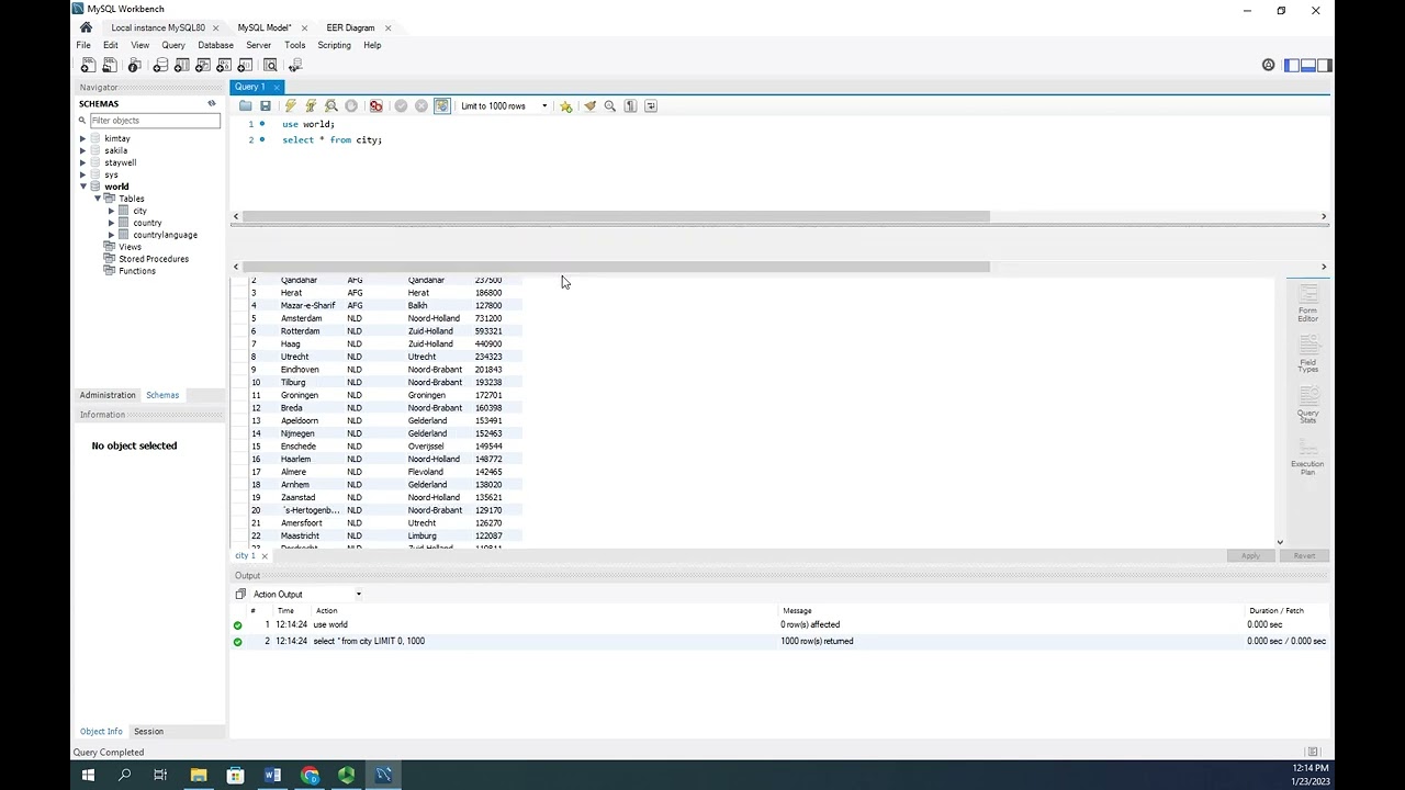 Basic SELECT queries in MySQL
