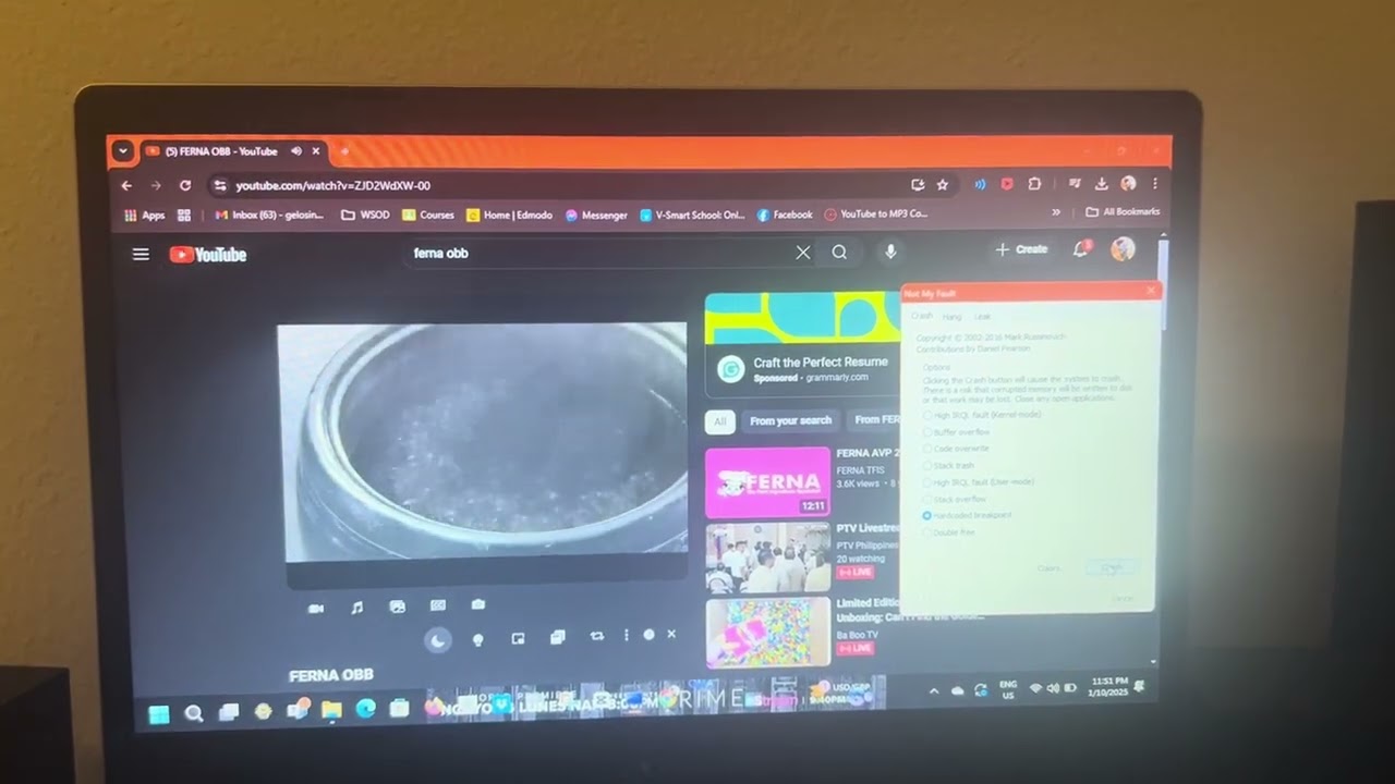 Ferna OBB has BSOD