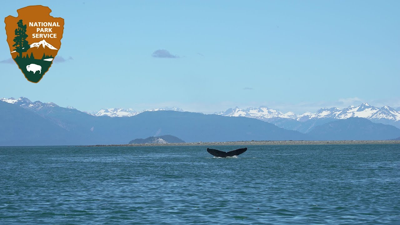 Outside Science (inside parks): Underwater Conversations in Glacier Bay National Park & Preserve