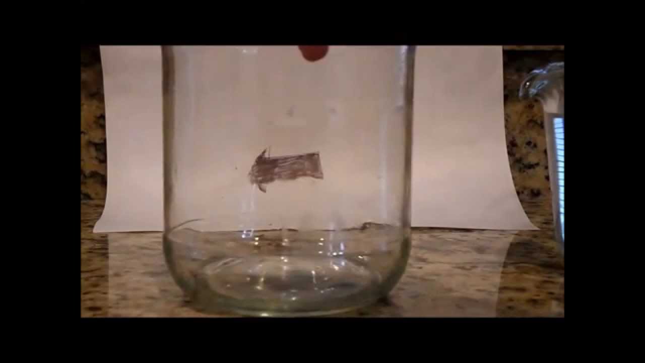 How to Reverse an Arrow - Cool Science Experiment