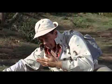 Rock Hudson vs. Bear