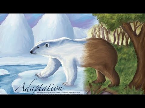 2- Concept 1.1 The Definition of Adaptation 2024