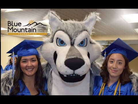 IMPACT campaign BMCC Foundation faculty 2020