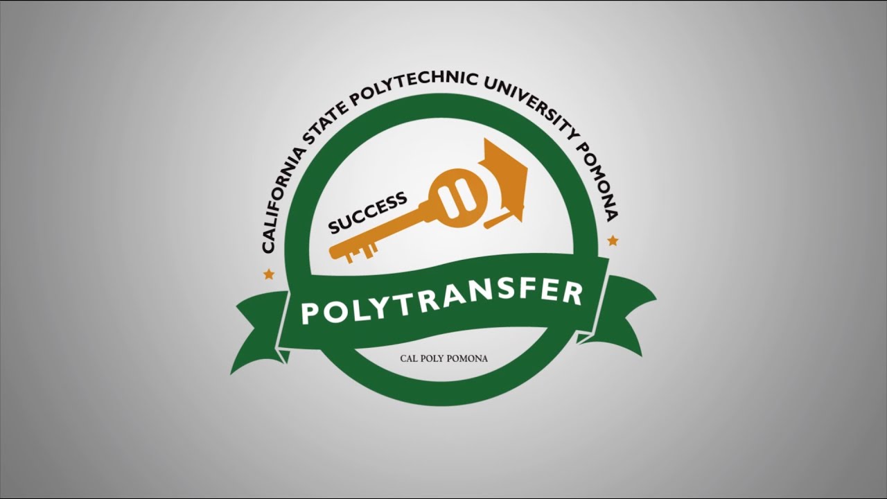 PolyTransfer