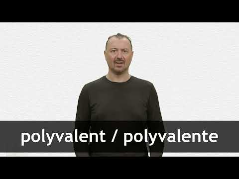 English Translation of “POLYVALENT” | Collins French-English Dictionary