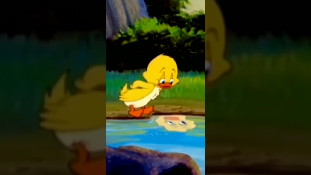Nobody love's me 😩😭 //  status // Duck 🦆