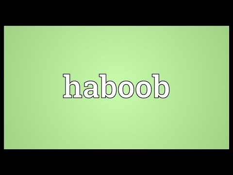 Haboob Meaning