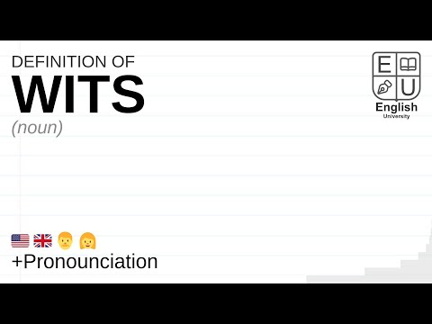 WITS meaning, definition & pronunciation | What is WITS? | How to say WITS