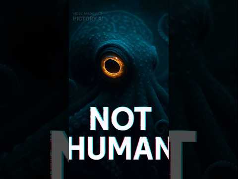 The Most Powerful Brain On Earth Not Human #animals #wildlife #octopus