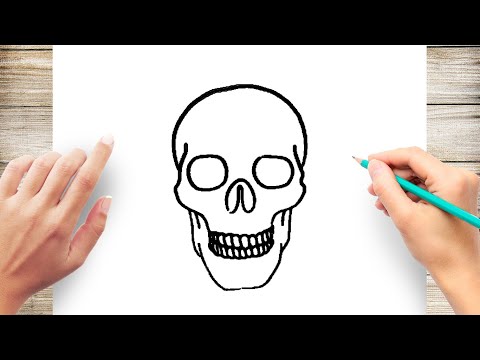 How to Draw a Simple Skull Step by Step