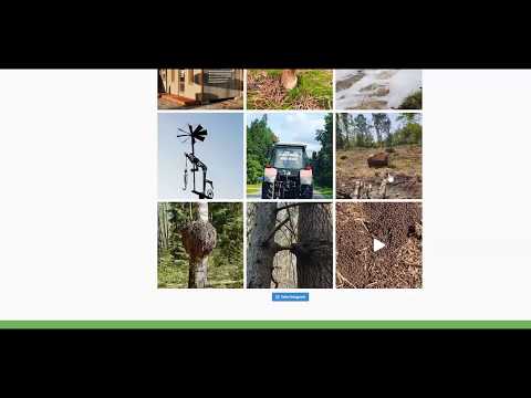 "Perkmezus.lv" mājas lapas izstrāde /web design
