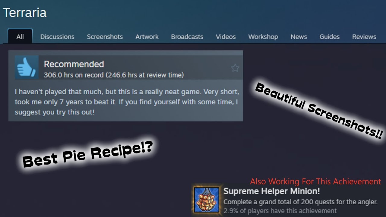 What Is The Terraria Community Like On Steam