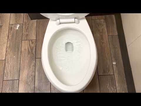 American Standard Madera Toilet at a Wendy’s