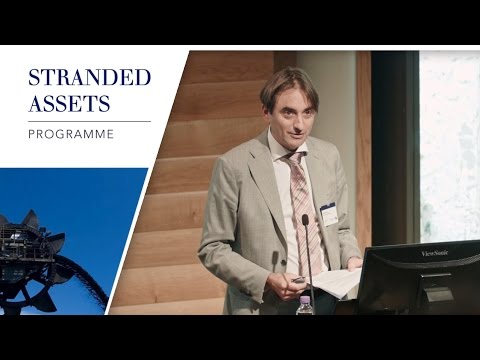 Blindness to risk: why institutional investors ignore the risk of Stranded Assets
