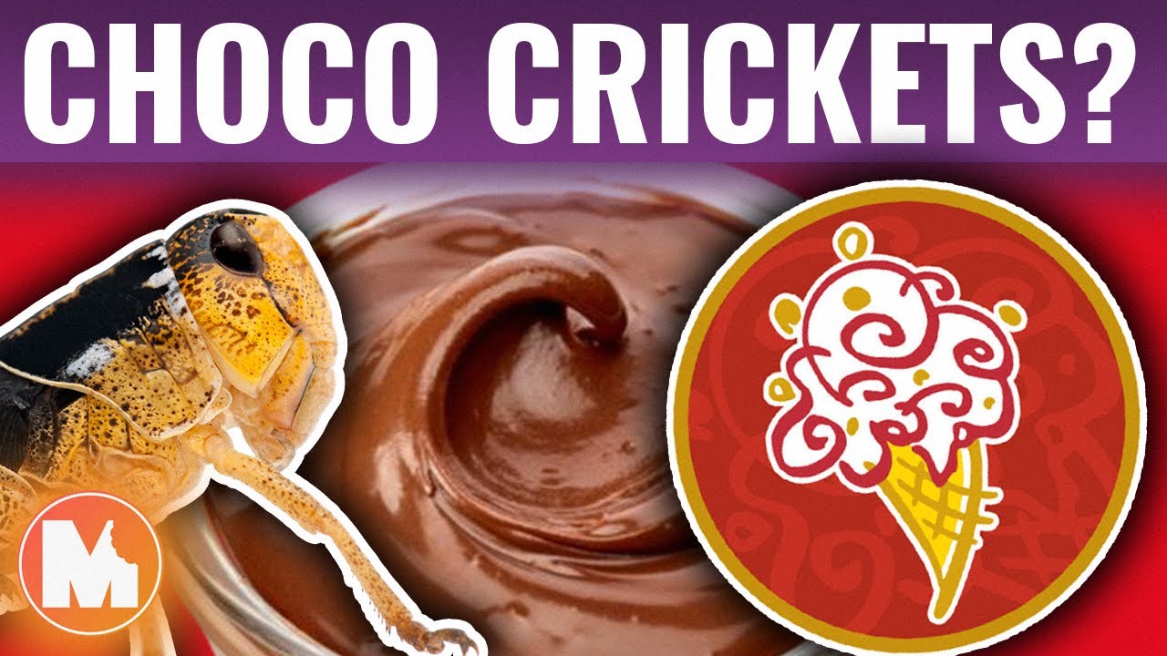 ColdStone Creamery- 4 RIDICULOUS FACTS Nobody Told You About!