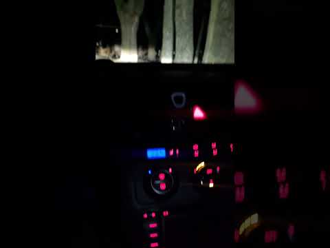 Vw Touran - Webasto upgrade full