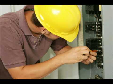 What Are the Differences between Traineeships and Apprenticeships