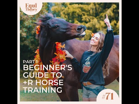 71. Beginner’s Guide to +R Horse Training (Pt. 1)