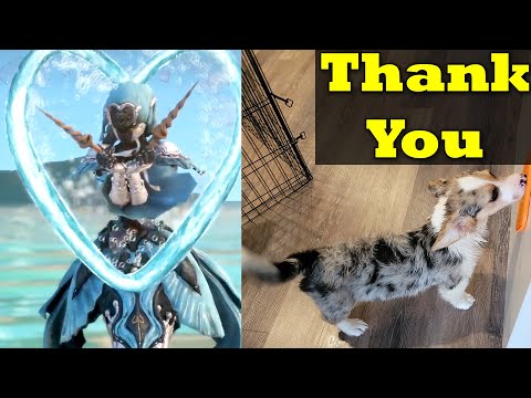 How To Support Your Favorite Warframe Youtubers Ft Reuben
