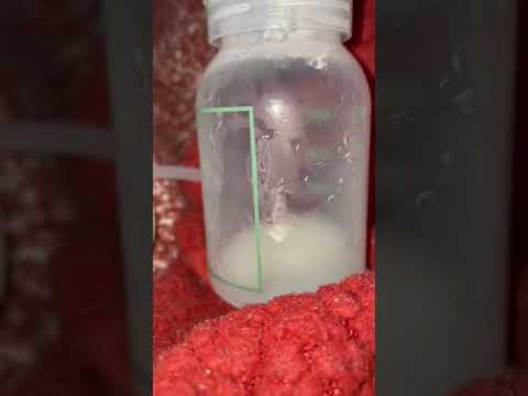 Breastfeeding Mama POV. Pumping and Dumping Suckkkkkkssssss! #pumpanddump