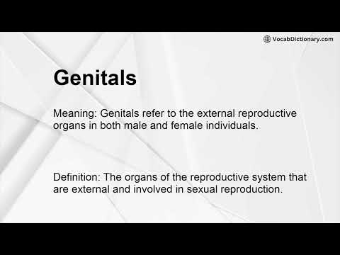 Genitals Meaning