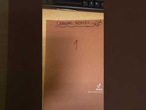 Easy Way to Learn Cranial Nerves #cranialnerves #nclex #nursingstudents
