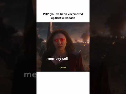 Memory Cell Meme Animation