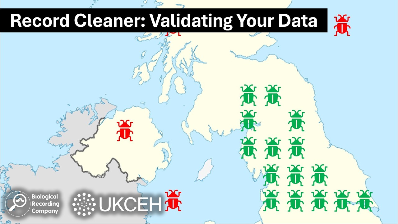 Record Cleaner 3: Validating Your Data