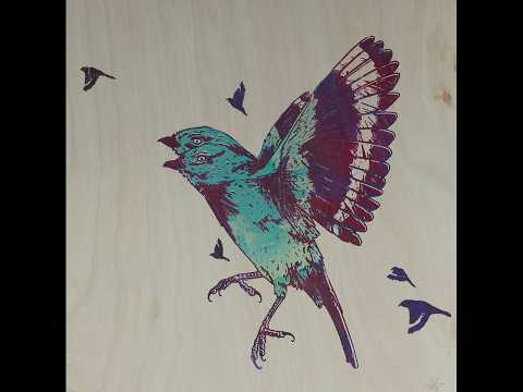 Ernest Doty Screen Print Animation #screenprinting #art #printmaking