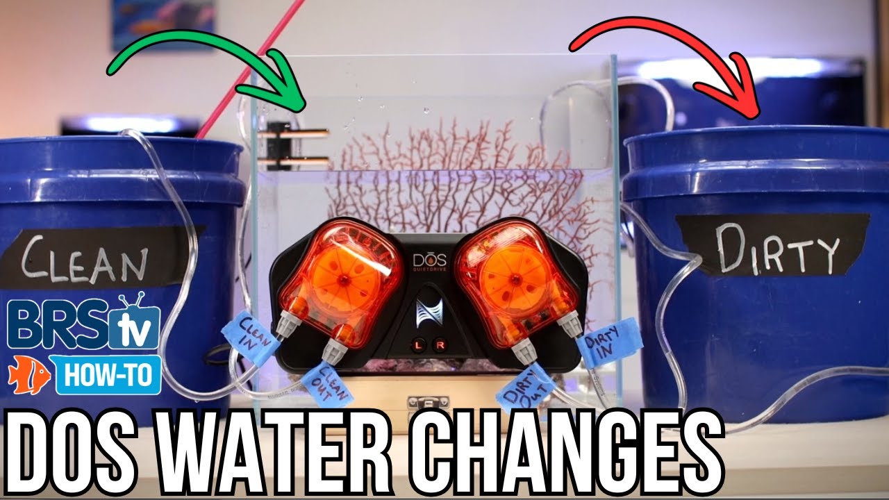 Automate  Reef Tank Water Changes with a Neptune DOS QuietDrive