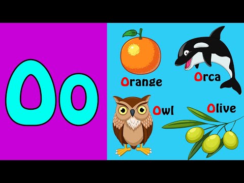 O letter words || Words That Start with Letter O || O for Orange, O for One, O for owl || Kids Video