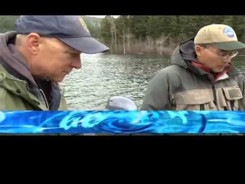Go Fish BC: Season 4, Episode 3 Rainbow Trout Life Cycle