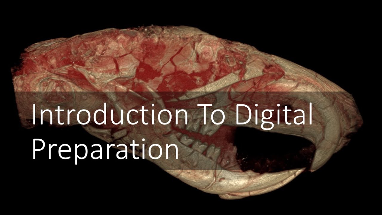 Introduction to Virtual Paleontology | Introduction to Digital Preparation Video 1