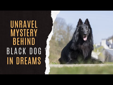 🐕Dream Dictionary Black Dog | Symbolism Of Dreaming About Black Dog | Dream Explanation Black Dog