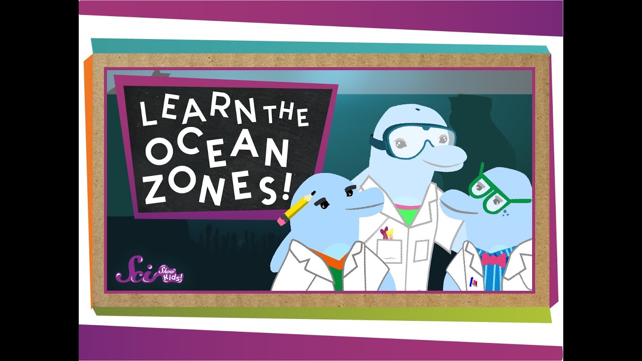 Let's Learn the Ocean Zones!