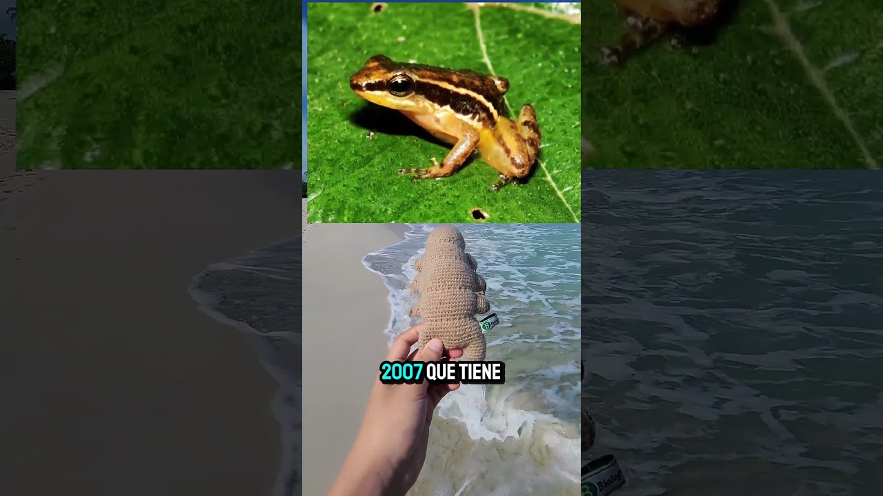 Curious Scientific Names #biologiadesdecero #shorts