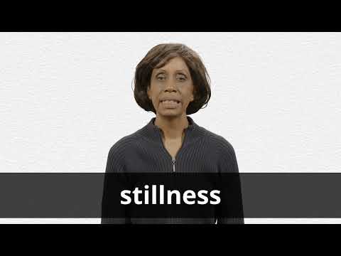 STILLNESS definition and meaning | Collins English Dictionary