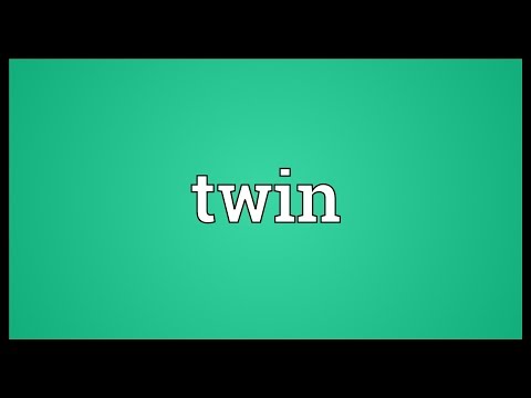 Twin Meaning