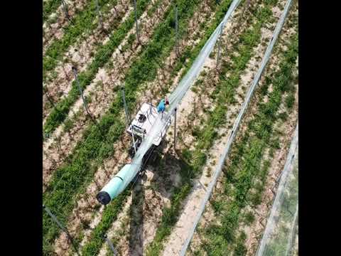 Planting an Apple Orchard