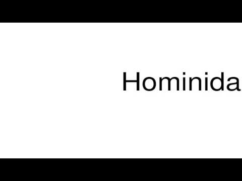 How to pronounce Hominidae