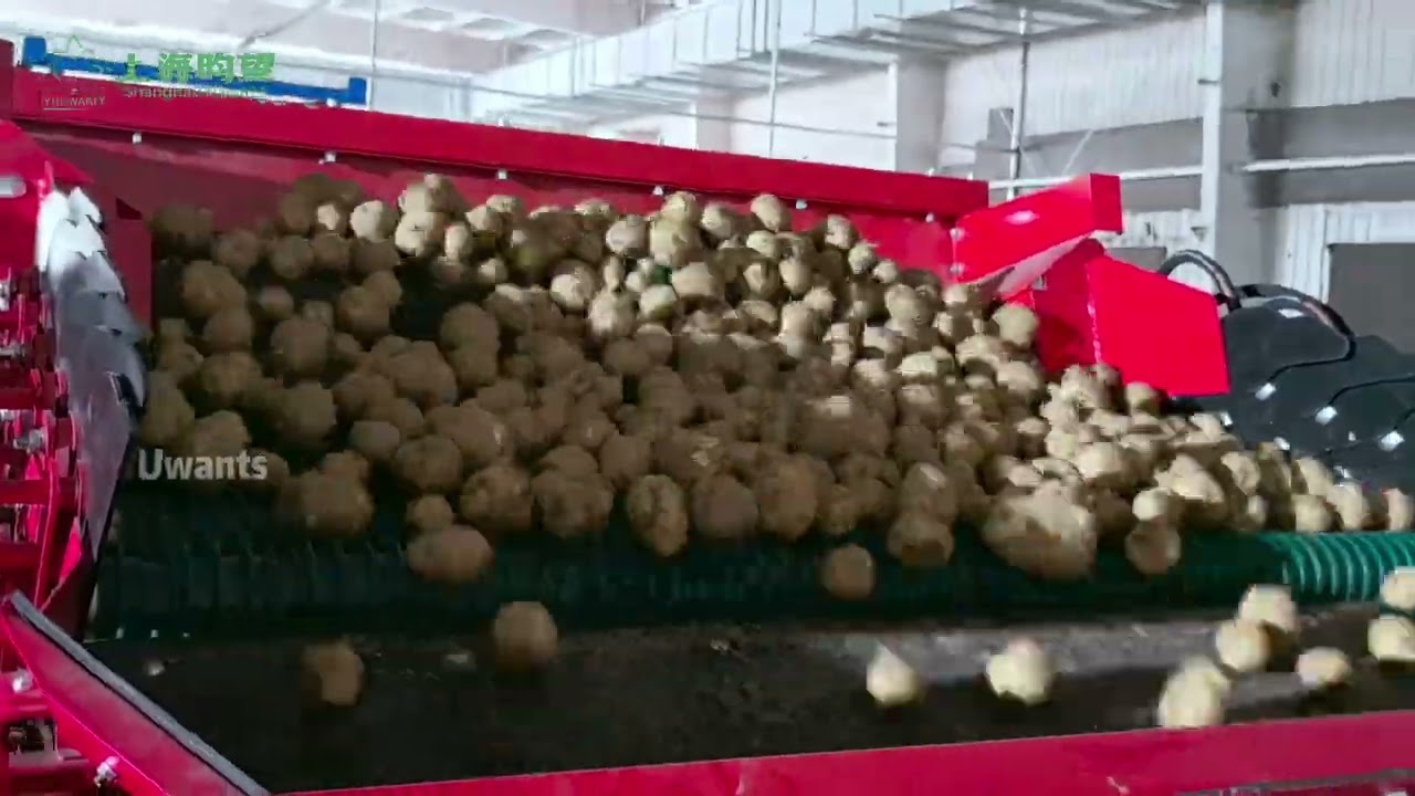 Potato storage and retrieval equipment